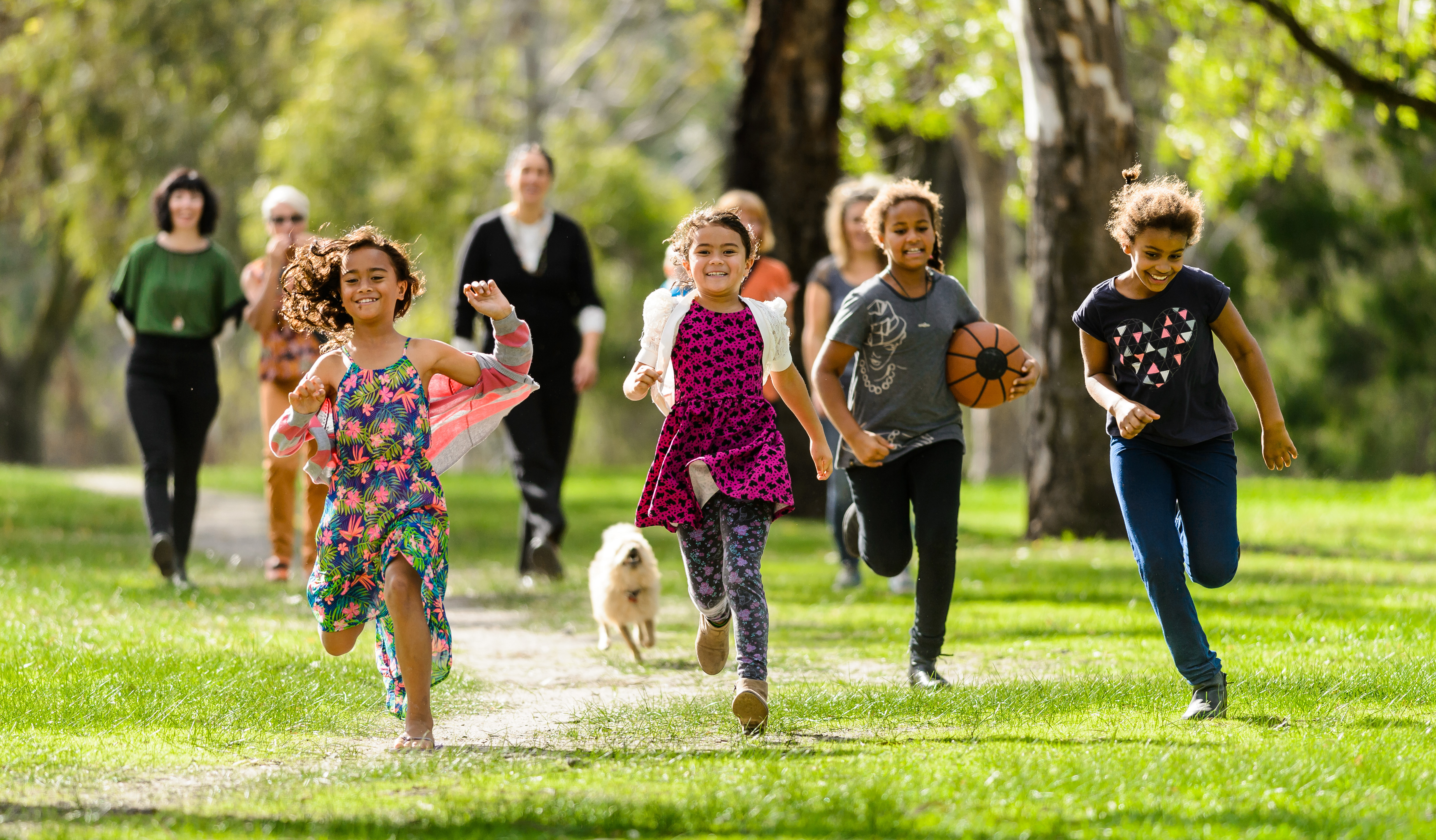 Greens NSW 2023 Policy Platform | Greens NSW