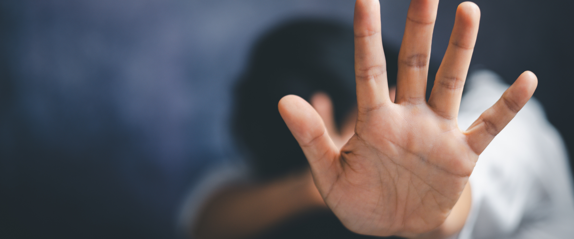 Protecting People From Violence | SA Greens