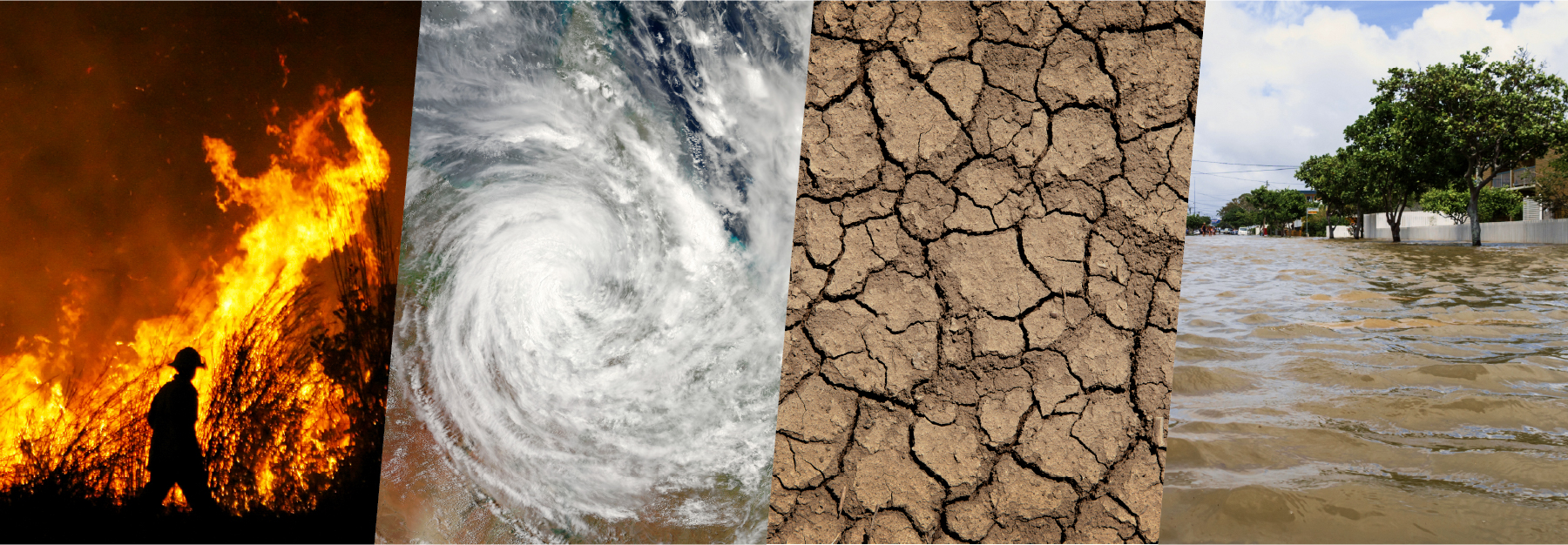 Emergency Management | Policy Portfolio | Australian Greens