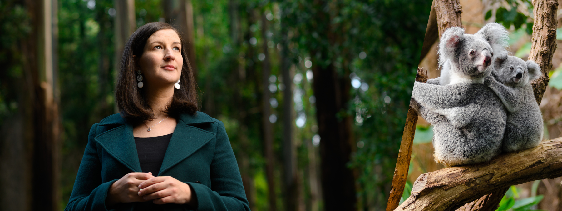 Protect the environment | Australian Greens Victoria