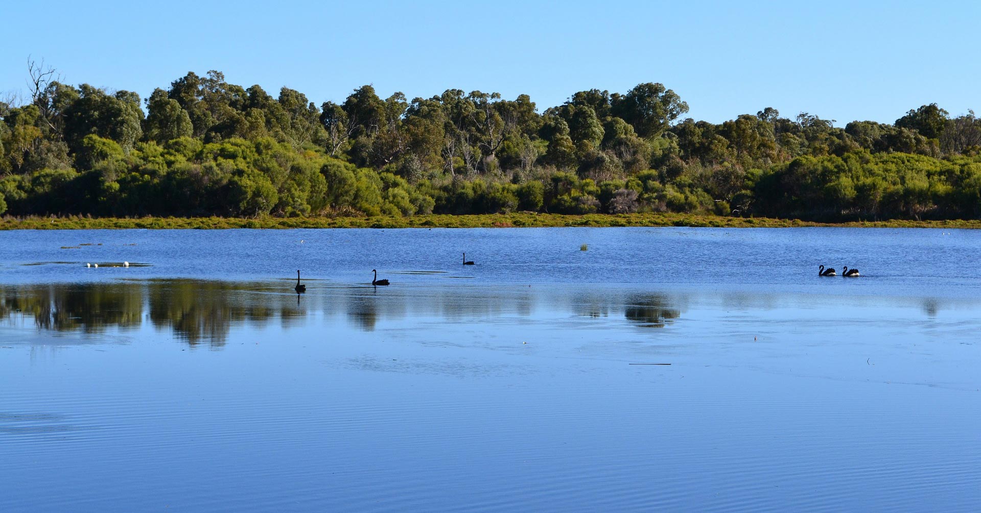 Water and Inland Aquatic Environments | Australian Greens