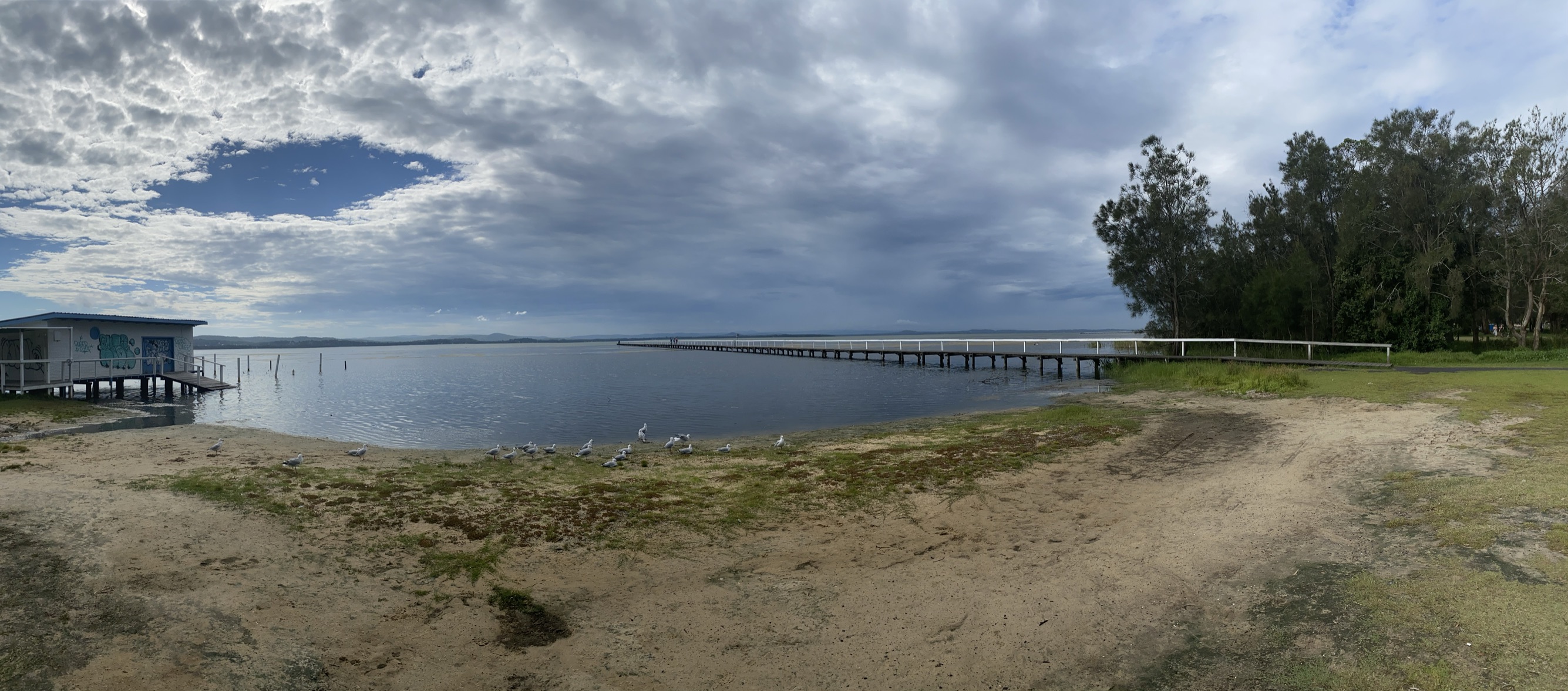 Simon Cooper, Candidate for Dobell