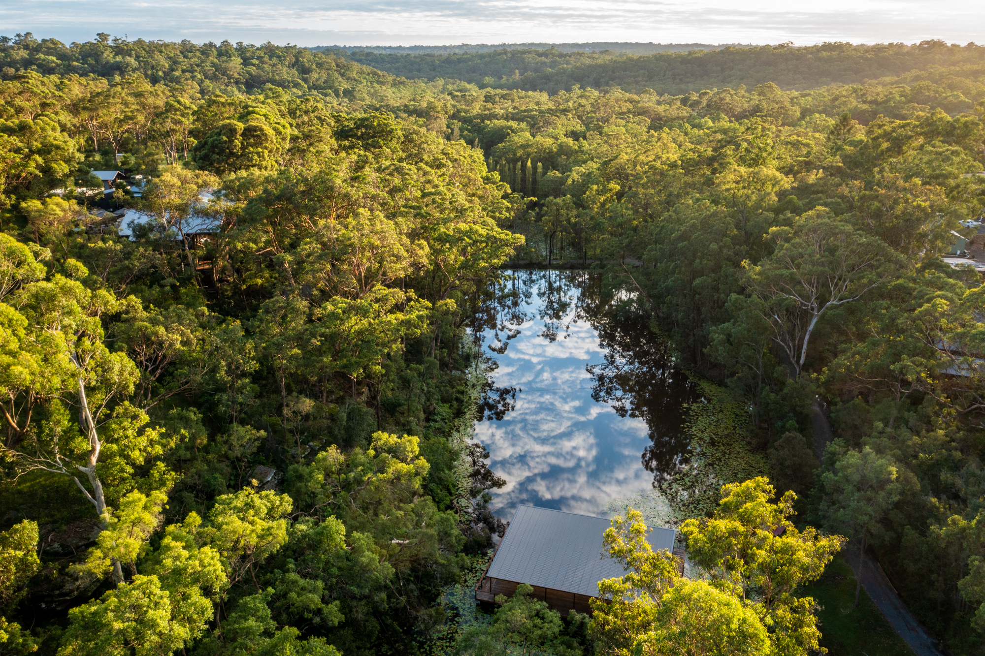 Greens Wild Escape Raffle 2026 | Greens NSW