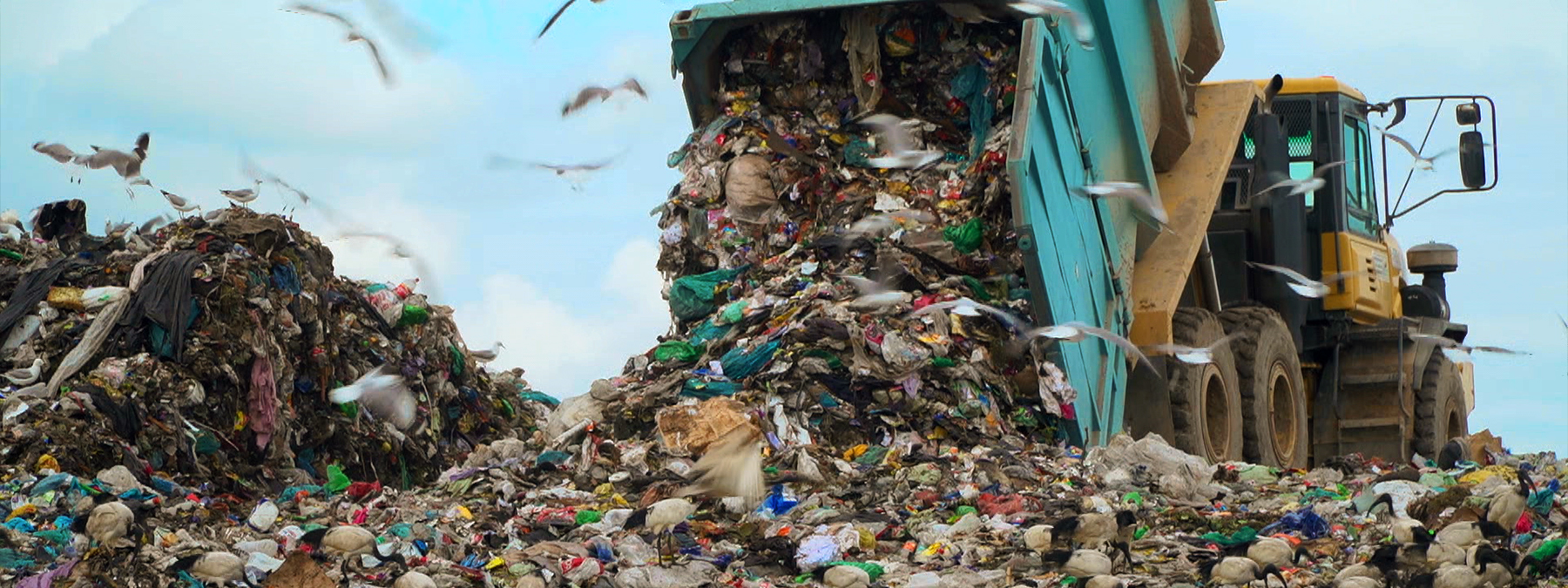 Waste & Recycling | Policy Portfolio | Australian Greens